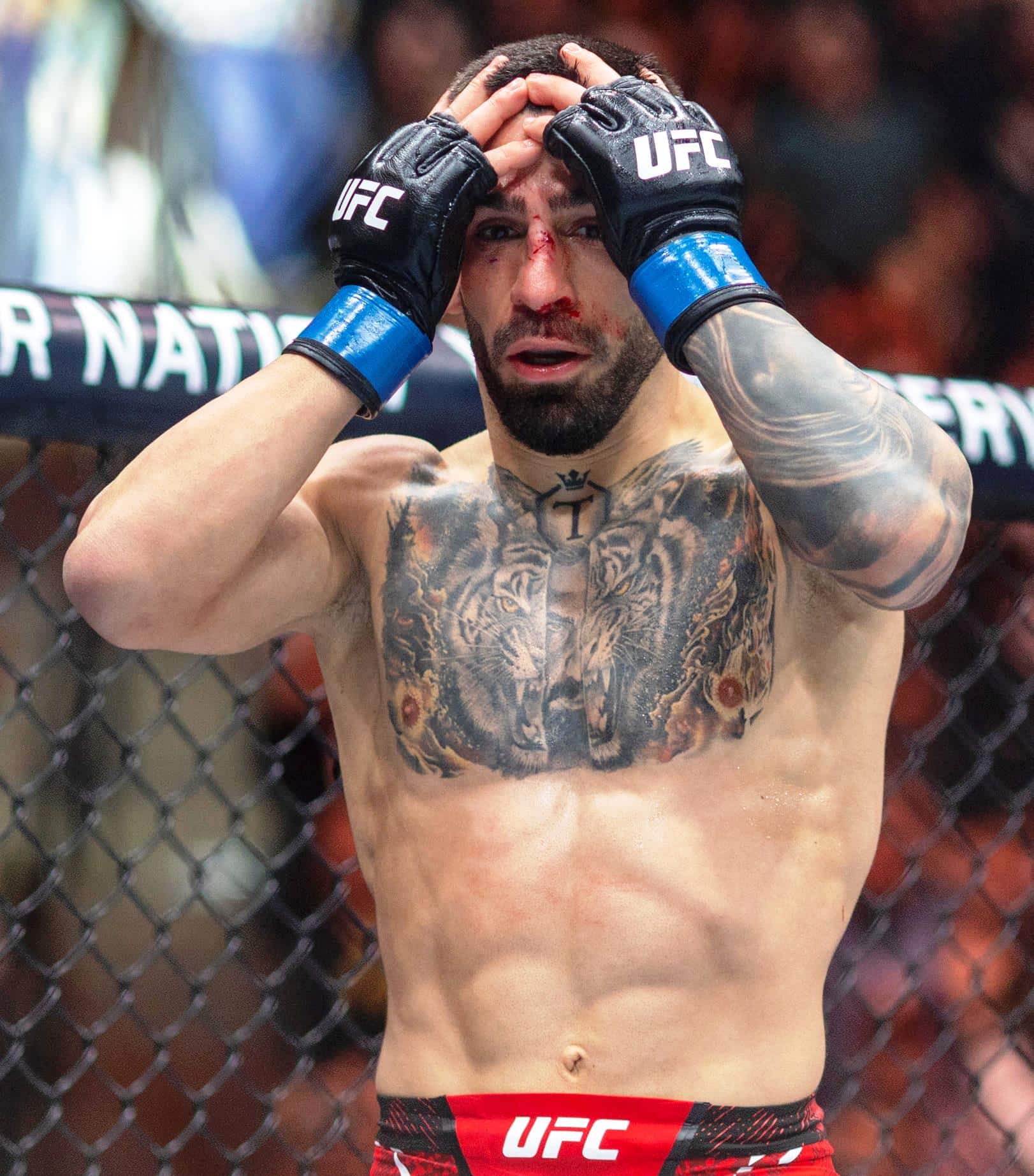 Ilia Topuria, es campeón del mundo y conquista la UFC - radiomarcabarcelona